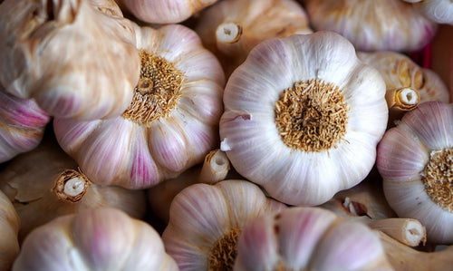 Does Garlic Help With Mold? Key Facts to Know – Dr. Crista