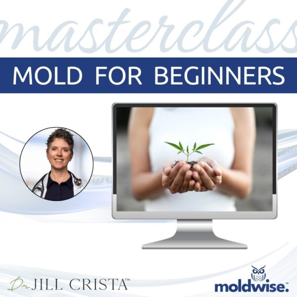 Mold for Beginners Masterclass To Develop a Mold Recovery